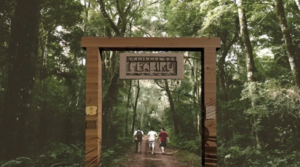 O Caminho do Peabiru: A Trilha Ancestral que Conectou Povos e Culturas ...